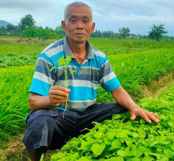 Cara Menanam Bayam Cepat Panen - Katalistiwa